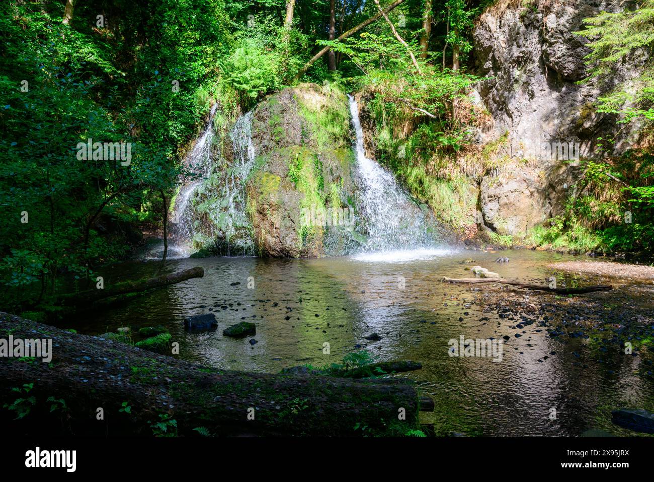 Aerial view forest hiking trails hi-res stock photography and images ...