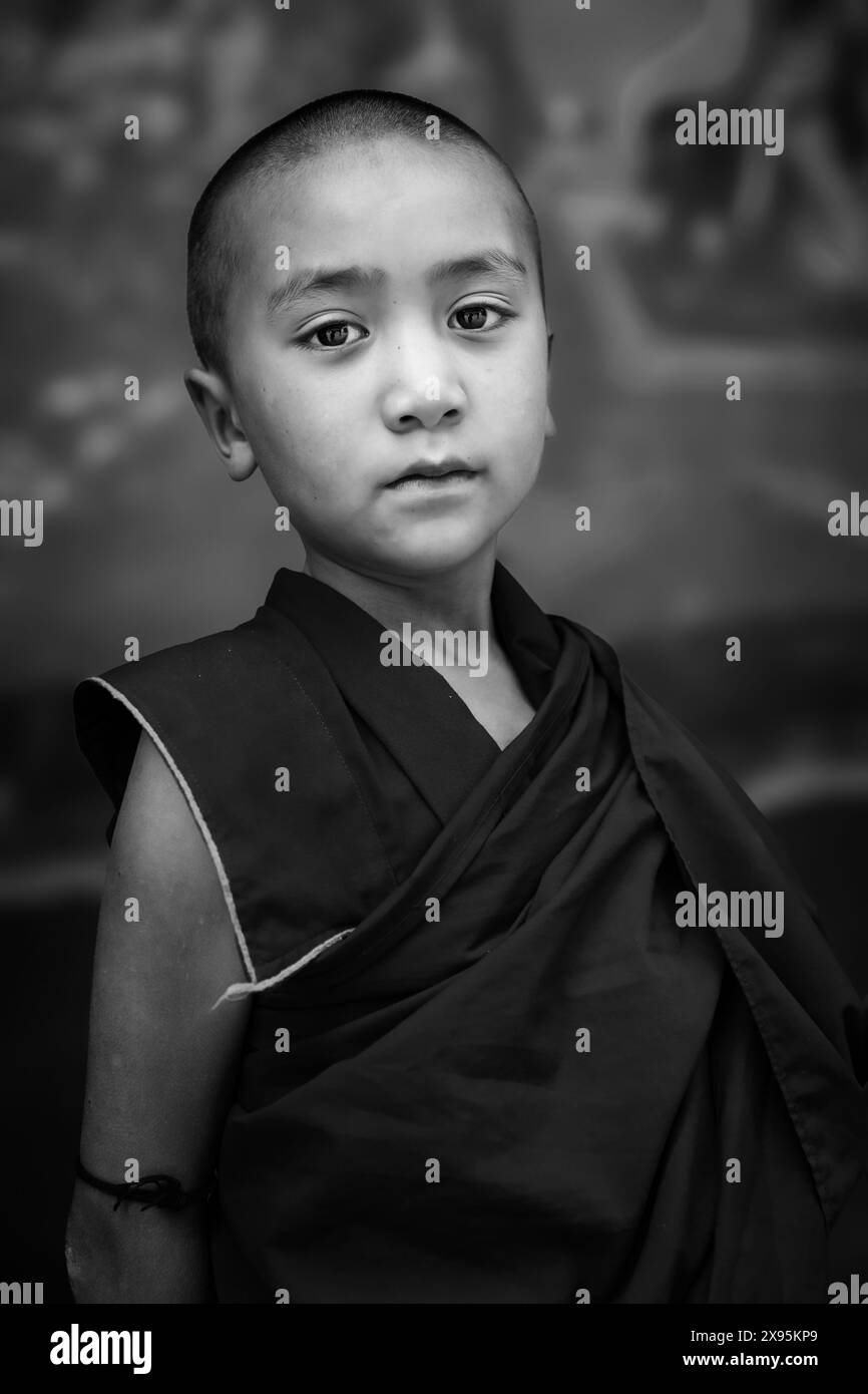 A young monk at Thiksey Monastery, Ladakh, India Stock Photo - Alamy