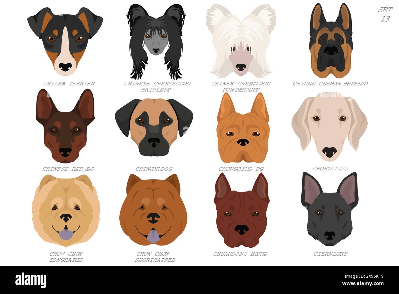 Dog head in alphabet order. All dog breeds. Colour vector design ...