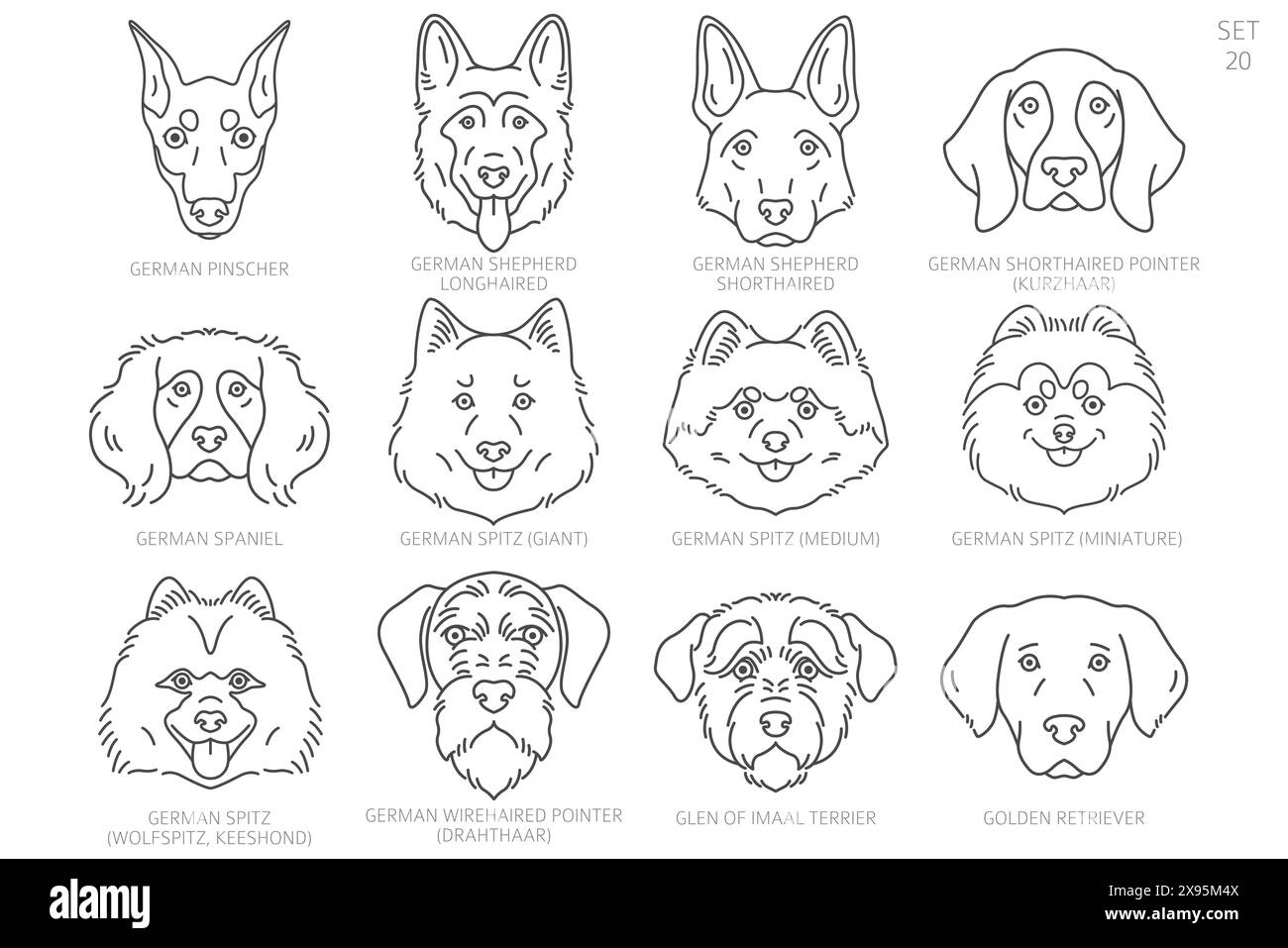 Dog head Silhouettes in alphabet order. All dog breeds. Simple line ...