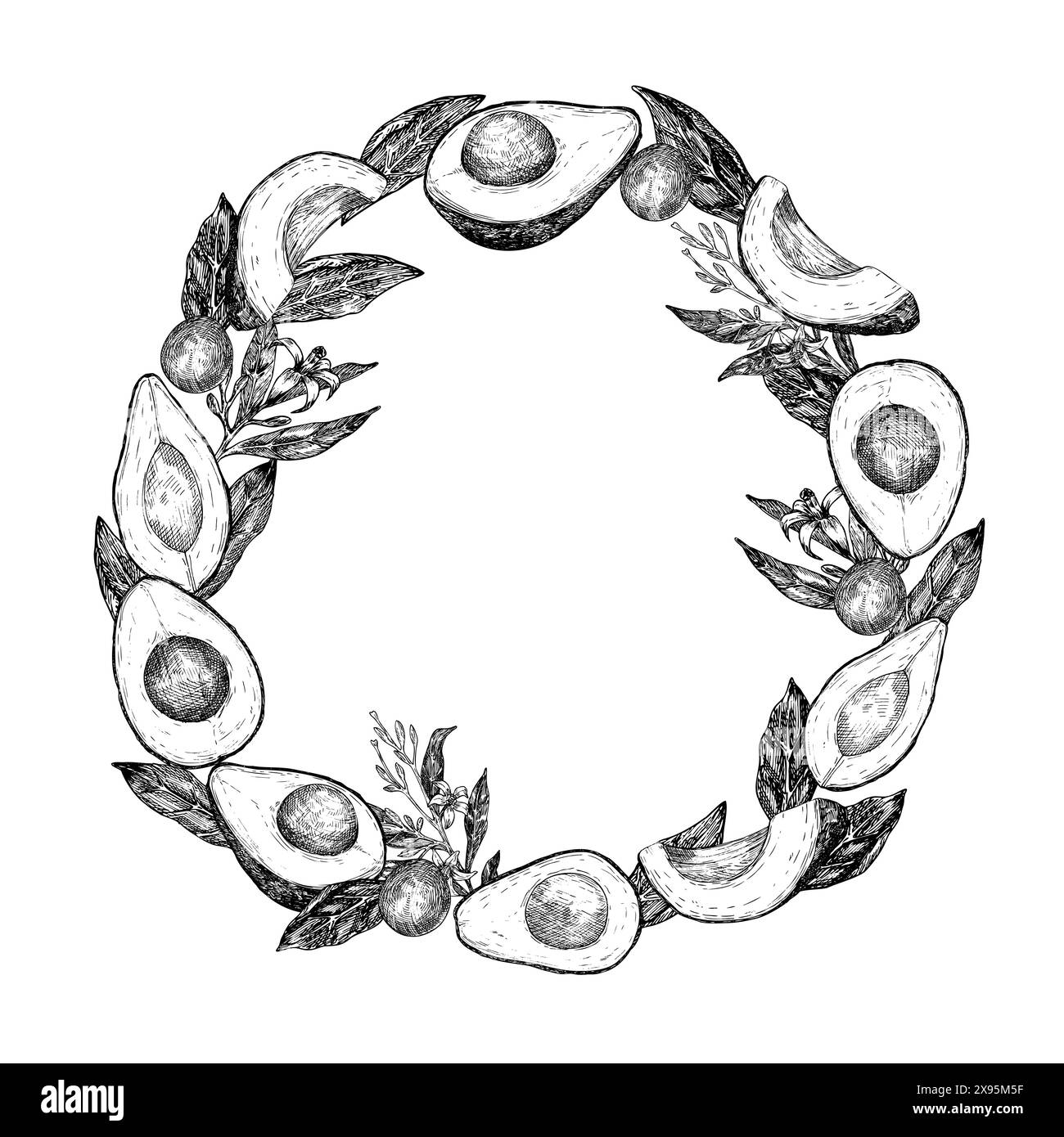 Avocado hass graphic vector illustration, circle frame or wreath with ...