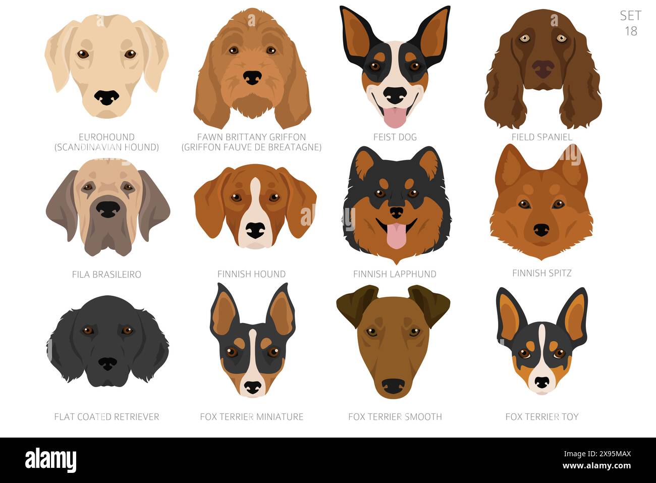 Dog head in alphabet order. All dog breeds. Colour vector design ...
