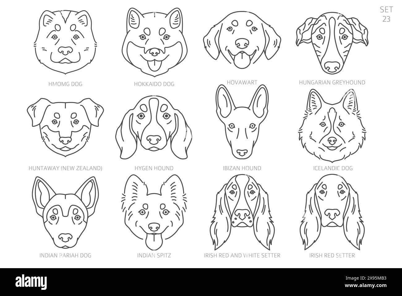 Dog head Silhouettes in alphabet order. All dog breeds. Simple line ...