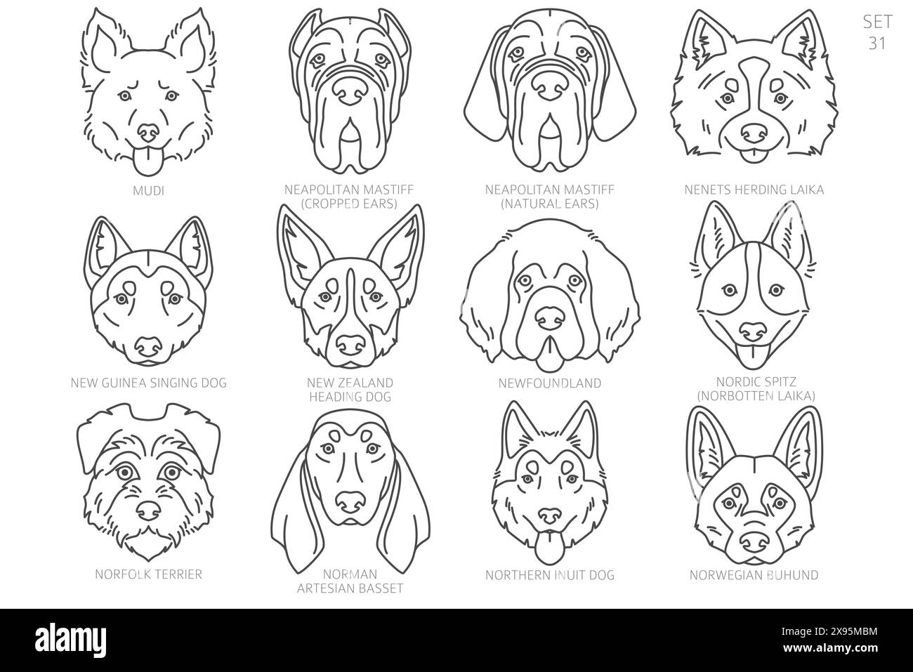 Dog head Silhouettes in alphabet order. All dog breeds. Simple line ...