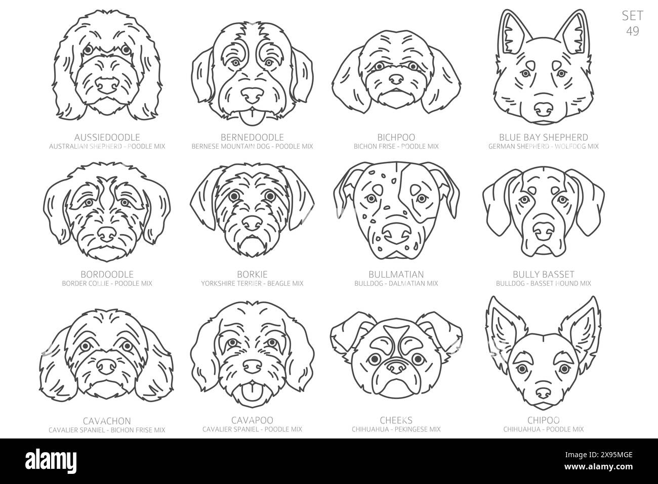 Designers Dog head Silhouettes in alphabet order. All dog mix breeds ...