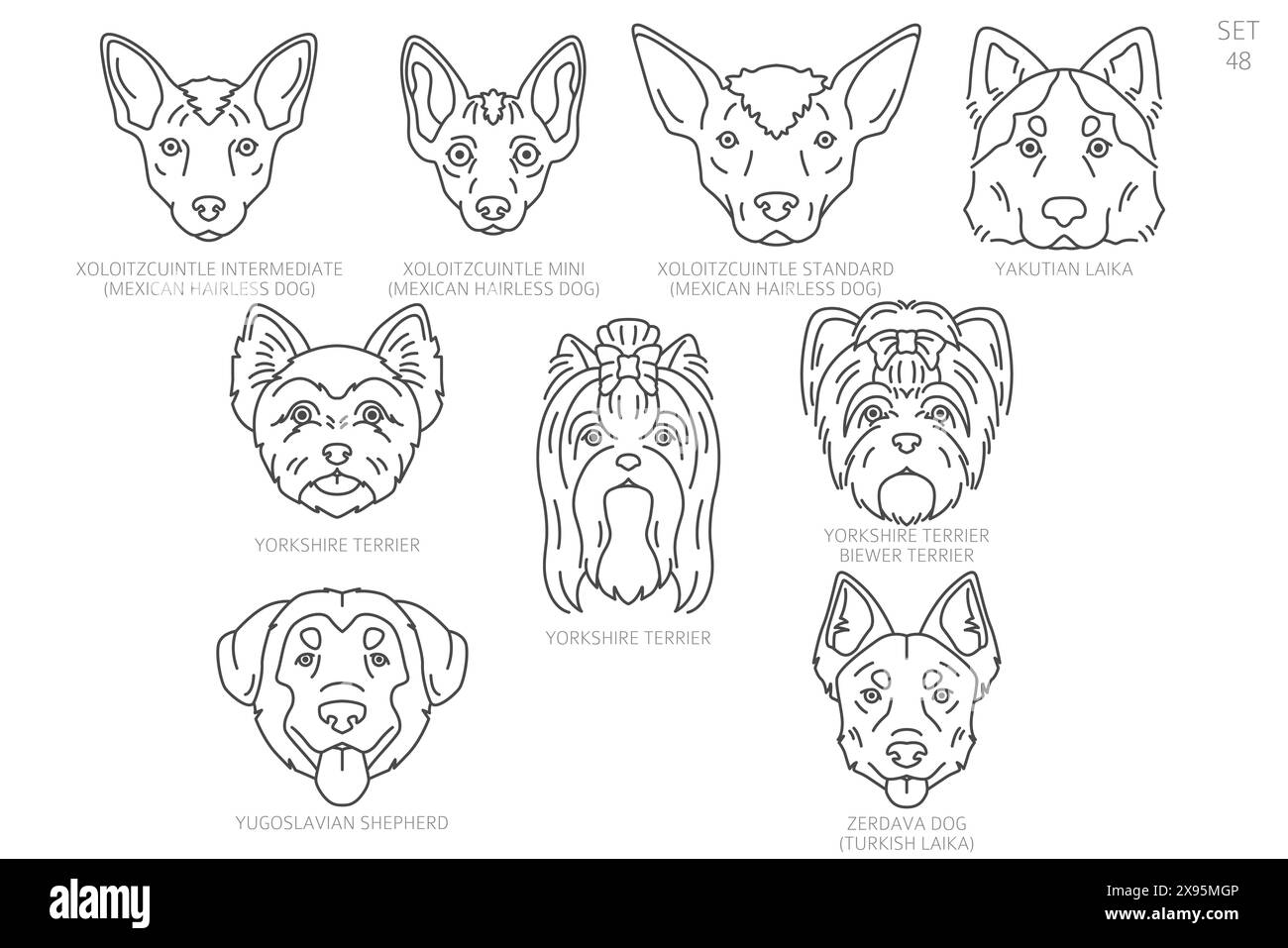 Dog head Silhouettes in alphabet order. All dog breeds. Simple line ...