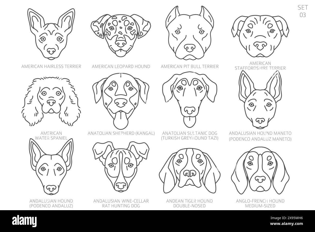 Dog head Silhouettes in alphabet order. All dog breeds. Simple line ...