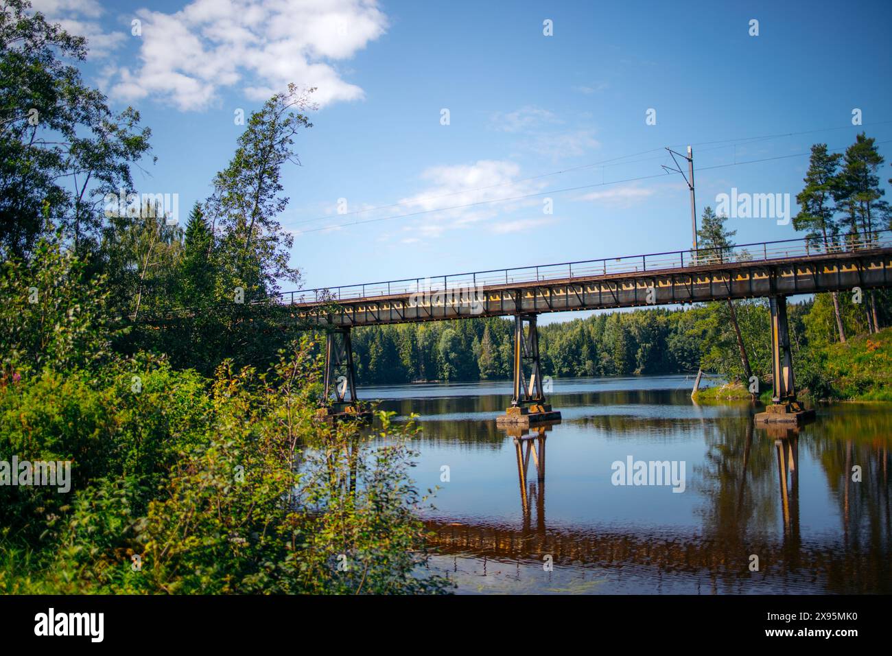 Steel bridge over forest water surrounded by trees, bridge reflecting ...
