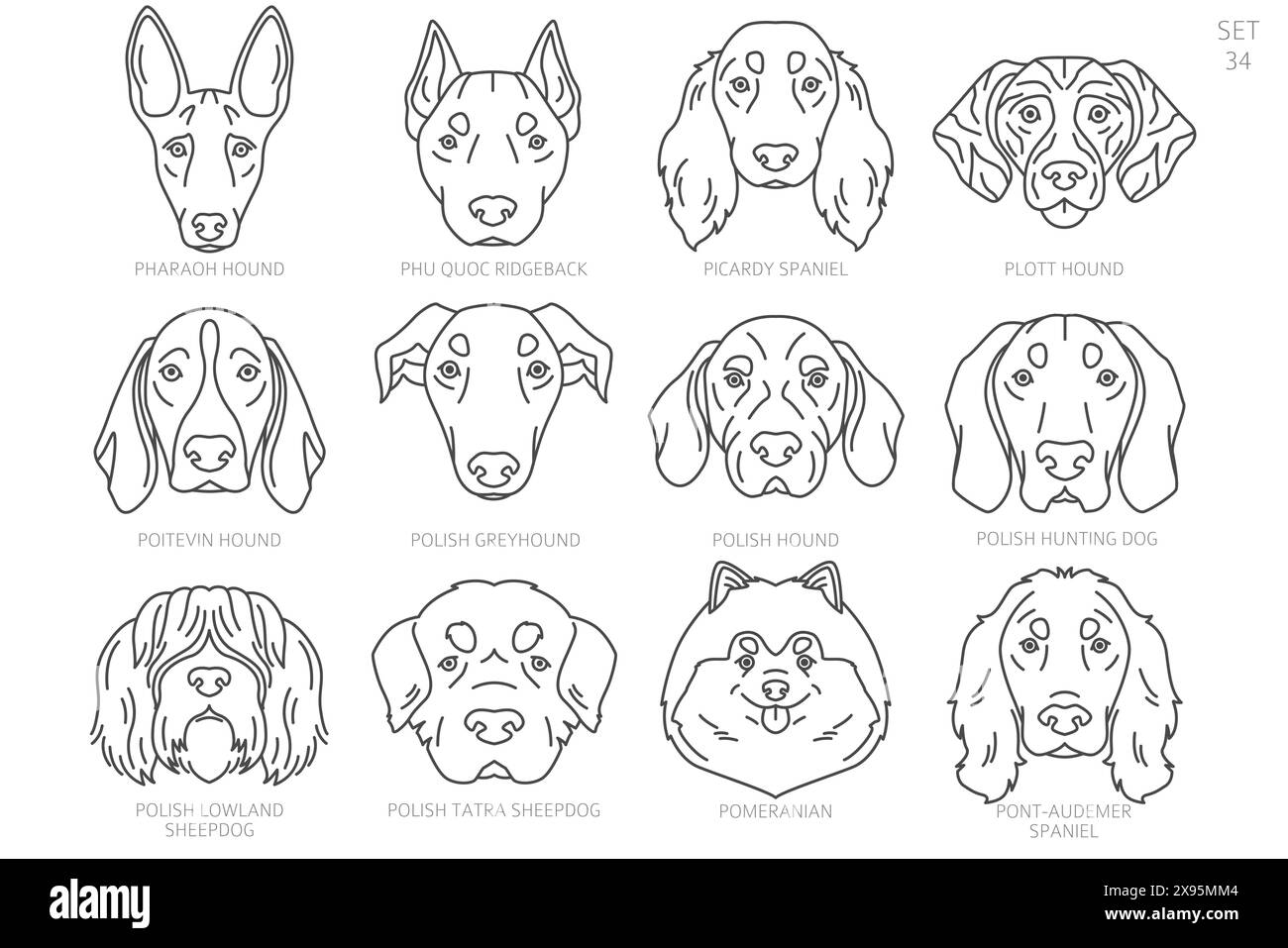 Dog head Silhouettes in alphabet order. All dog breeds. Simple line ...