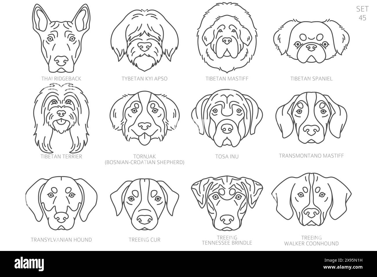 Dog head Silhouettes in alphabet order. All dog breeds. Simple line ...