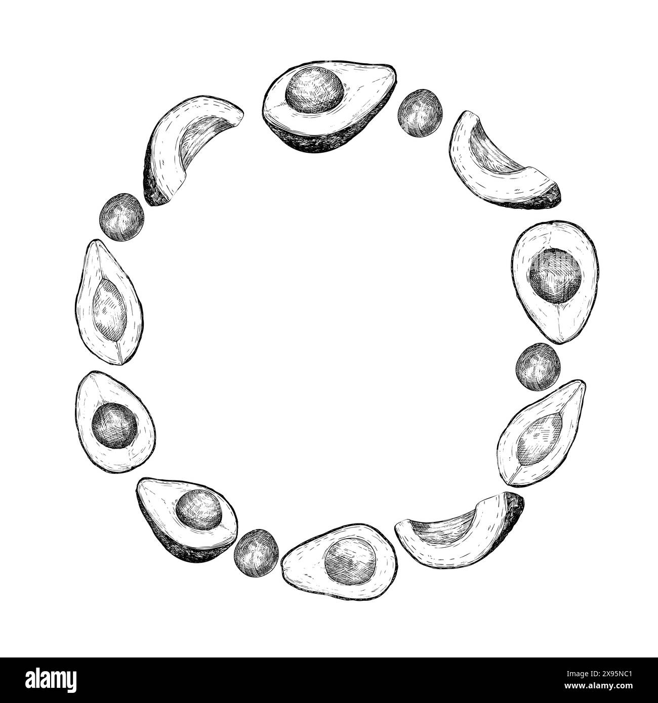 Avocado hass graphic vector illustration, circle frame or wreath with ...