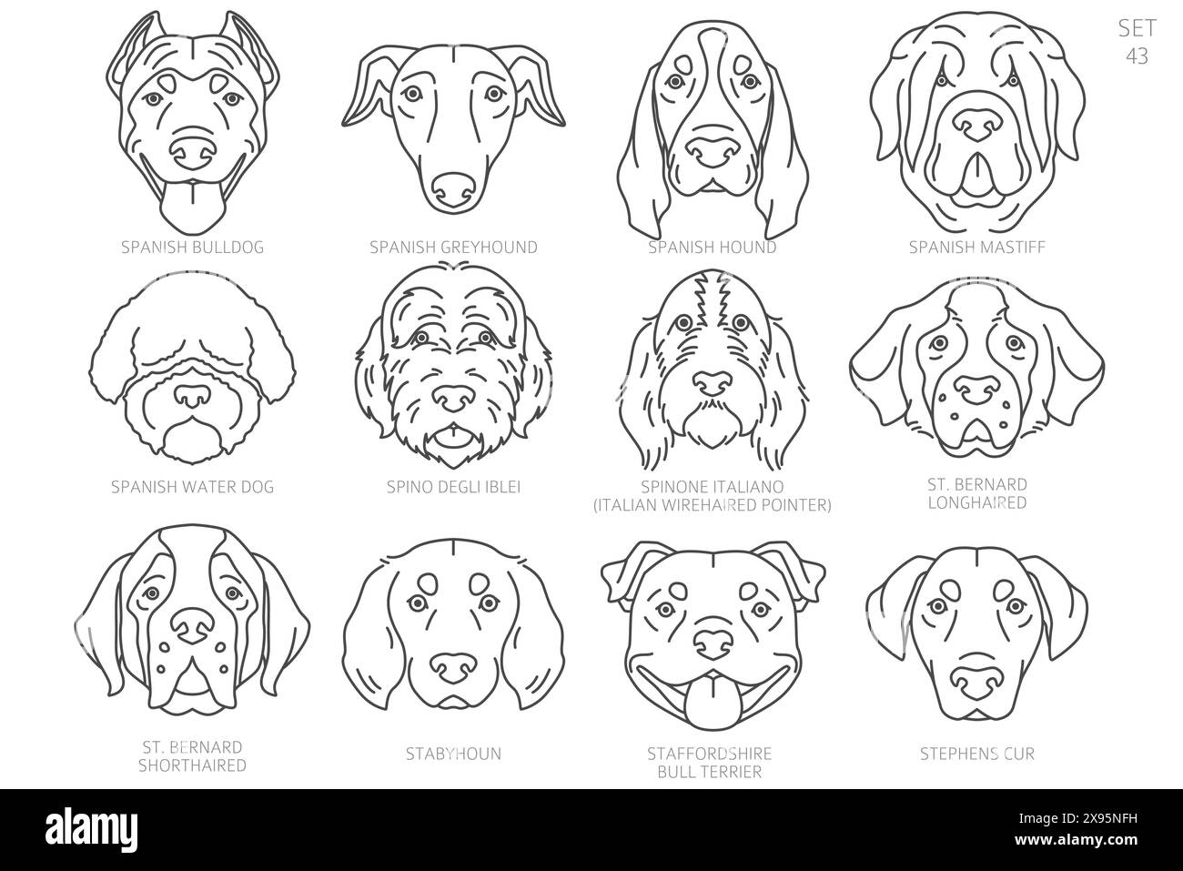 Dog head Silhouettes in alphabet order. All dog breeds. Simple line ...