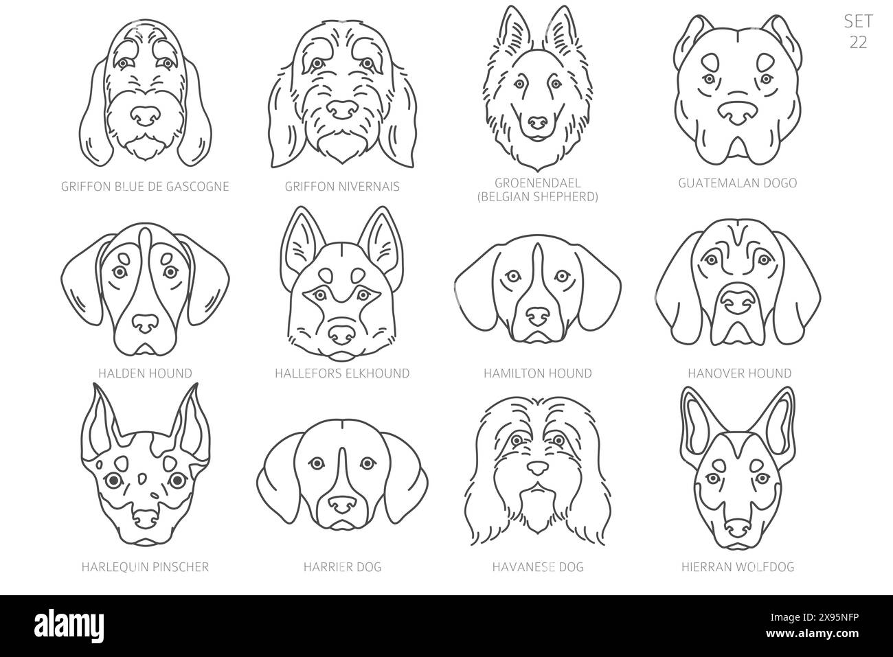 Dog head Silhouettes in alphabet order. All dog breeds. Simple line ...