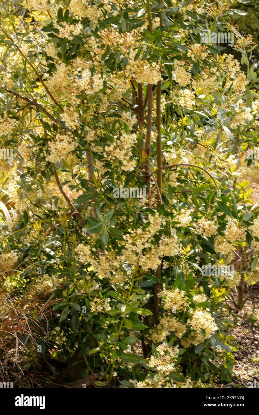 Stunning Alluring, Astounding, Breathtaking, Compelling, Dazzling ...