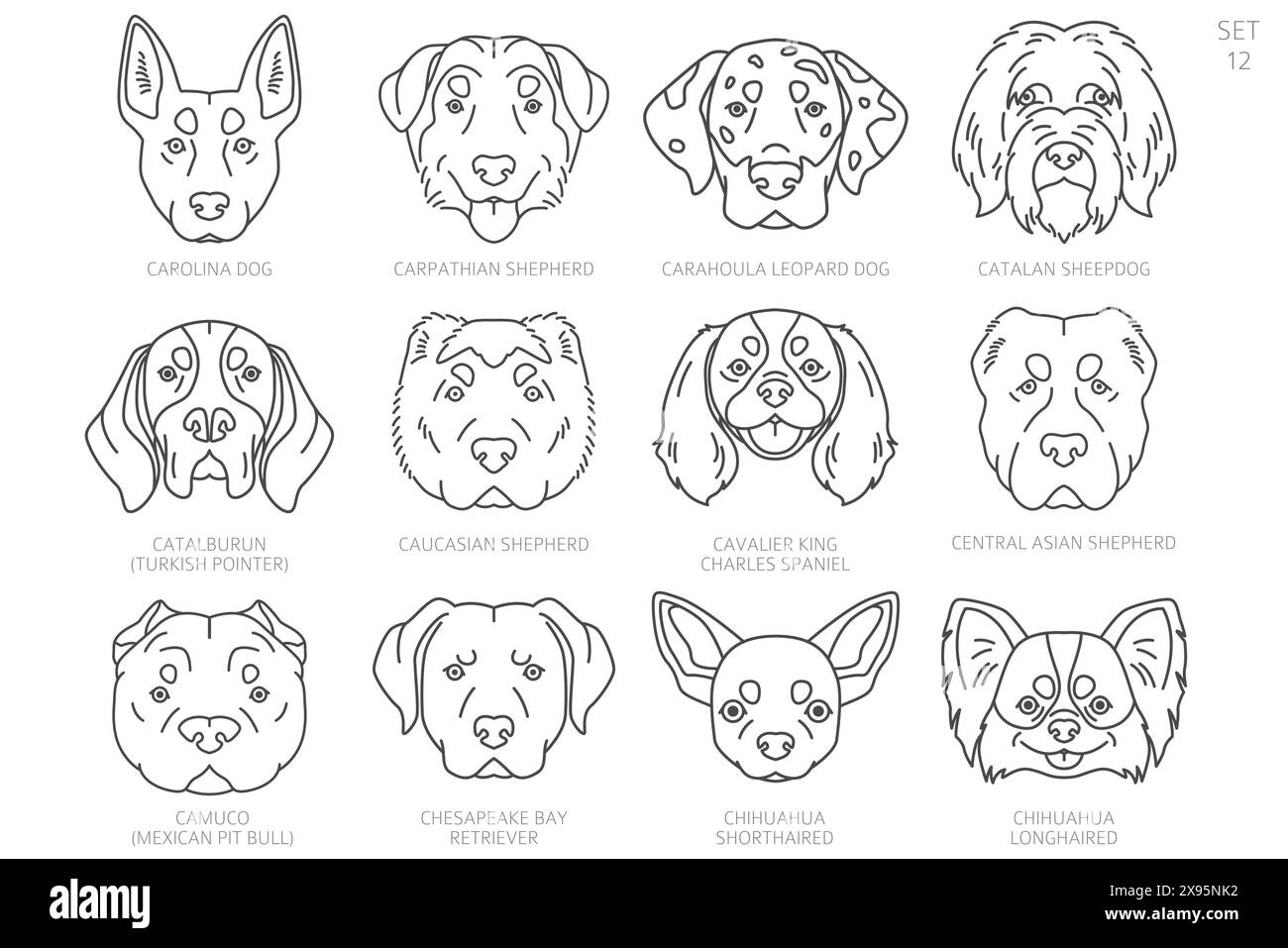 Dog head Silhouettes in alphabet order. All dog breeds. Simple line ...