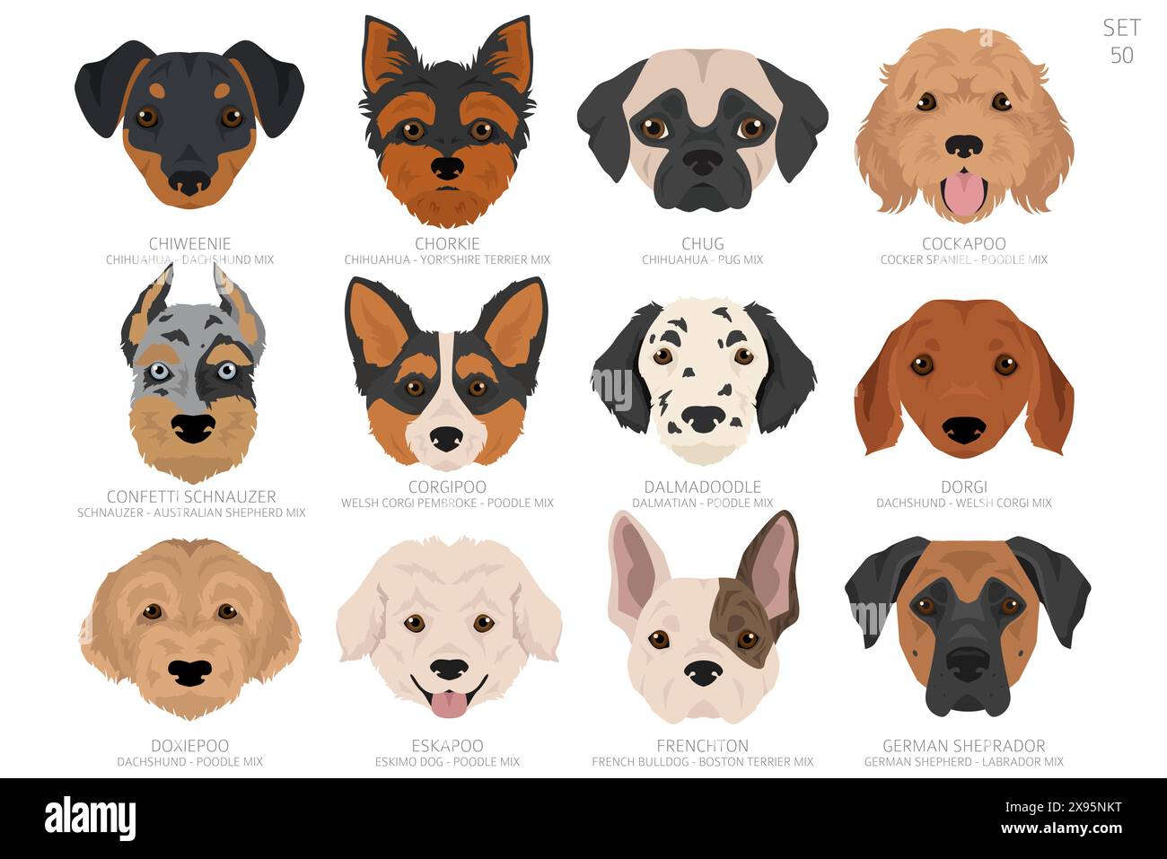 Cross breeds Stock Vector Images - Alamy