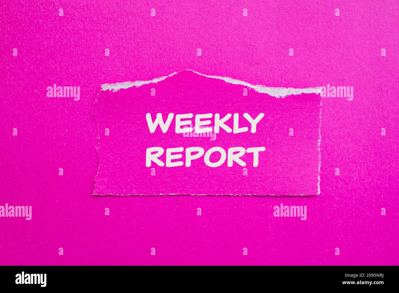 Weekly report words written on ripped paper with pink background ...