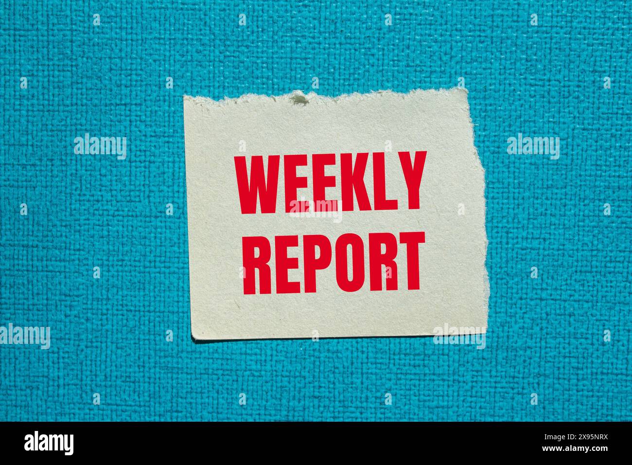 Weekly report words written on ripped paper with blue background ...