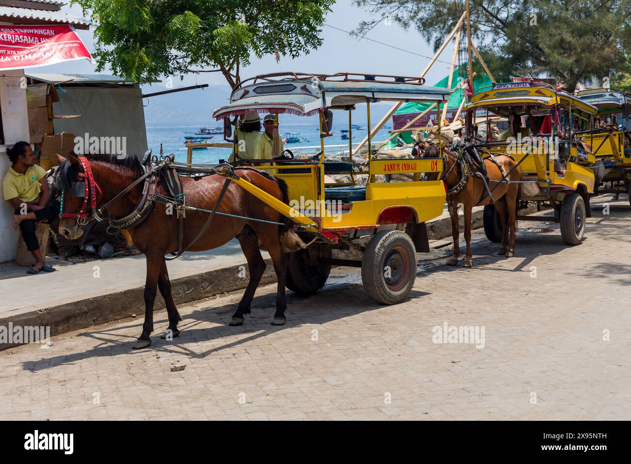 Traditional horse and cart (Cidomo) waiting for tourists on Gili ...