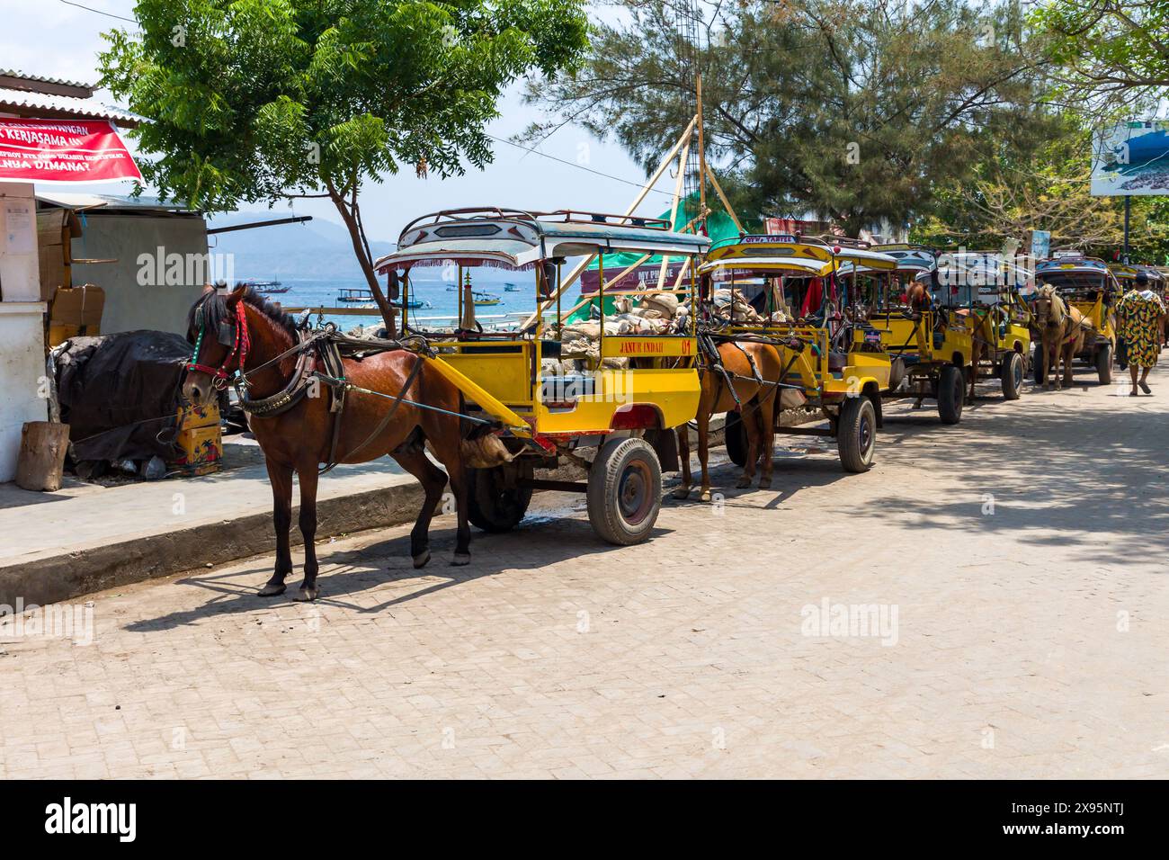 Traditional horse carts (Cidomo) wait next to the port on the main ...