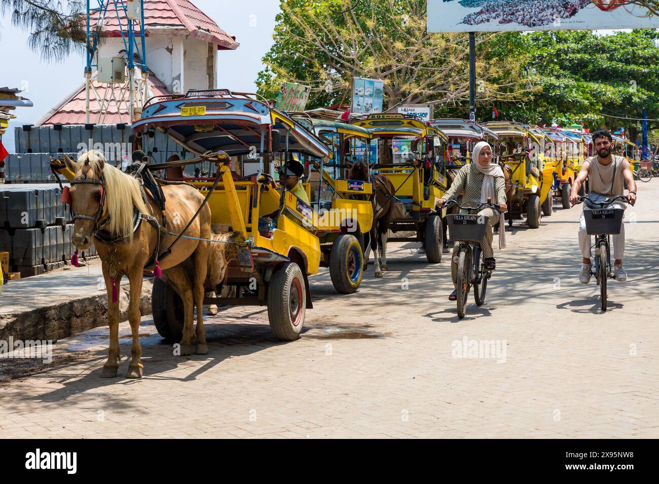 Traditional horse and cart (Cidomo) waiting for tourists on Gili ...