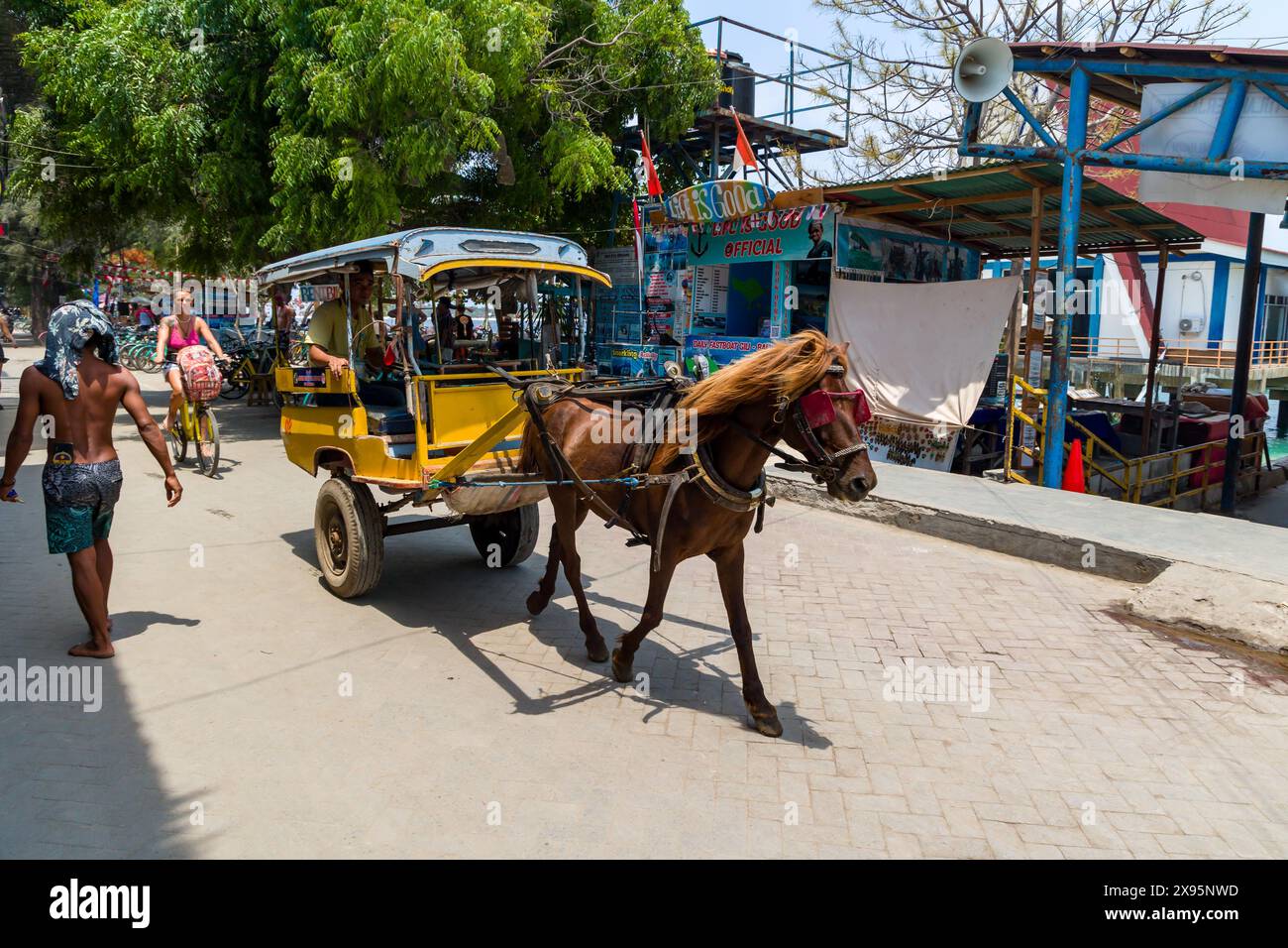 Traditional horse and cart (Cidomo) waiting for tourists on Gili ...