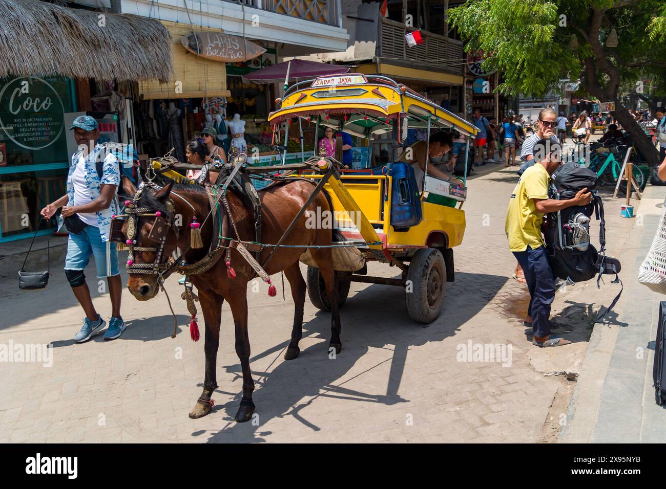 Traditional horse and cart (Cidomo) waiting for tourists on Gili ...
