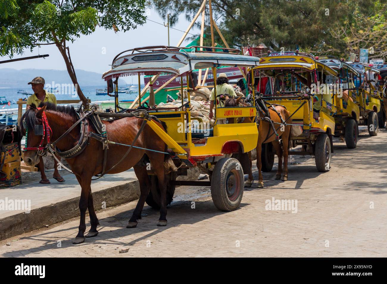 GILI TRAWANGAN, INDONESIA - NOVEMBER 10 2023: Traditional horse ...