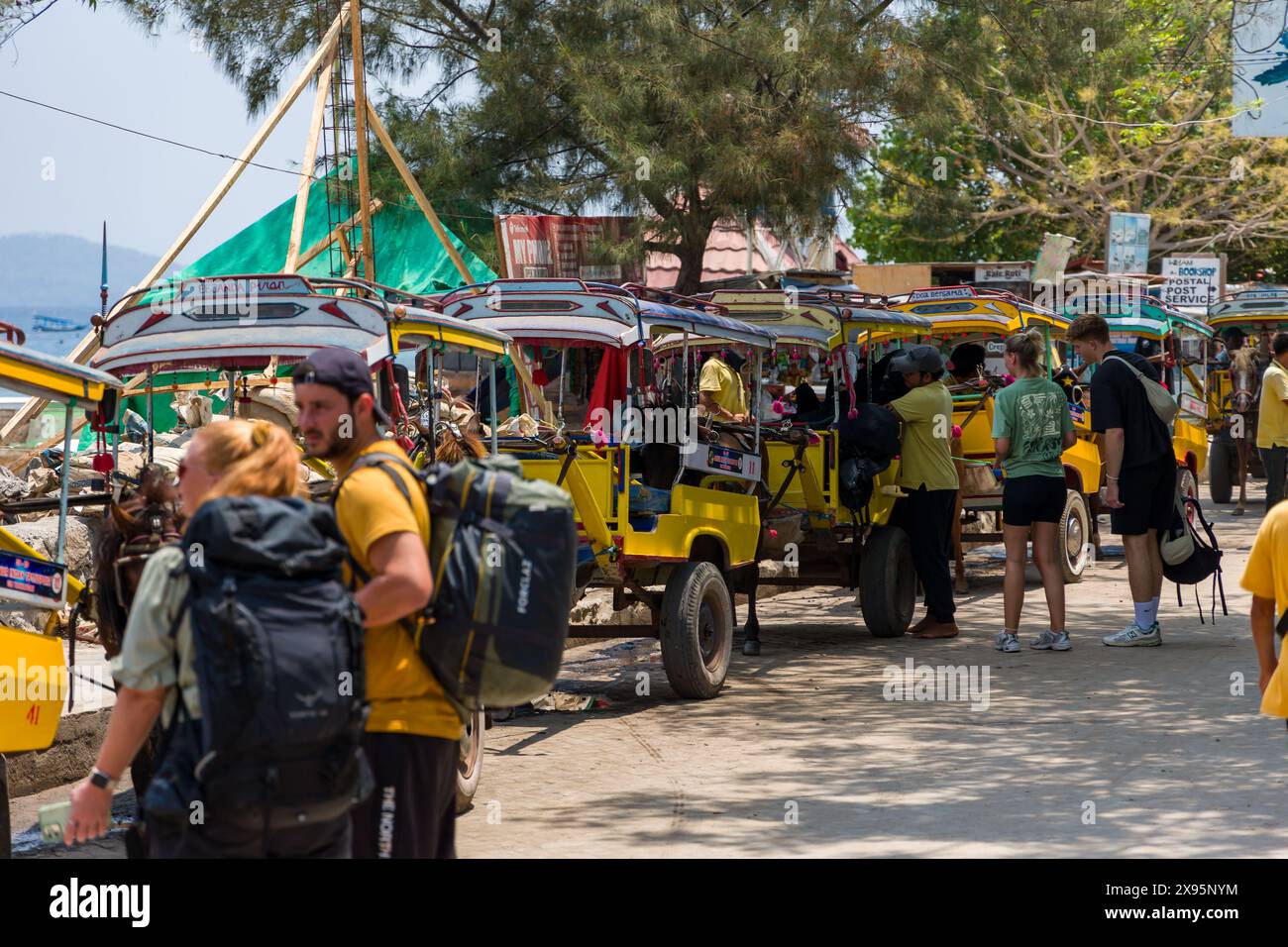 Traditional horse and cart (Cidomo) waiting for tourists on Gili ...