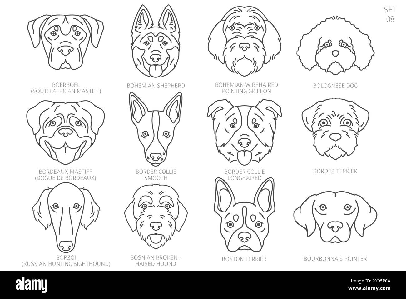 Dog head Silhouettes in alphabet order. All dog breeds. Simple line ...