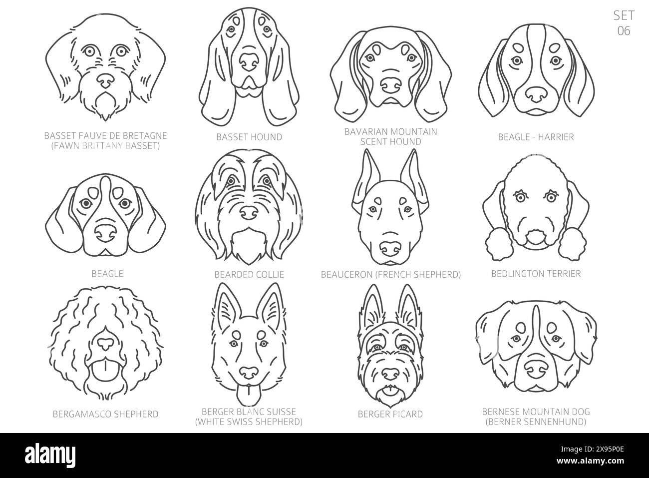 Portrait de picard Cut Out Stock Images & Pictures - Alamy