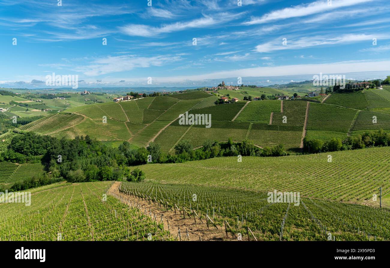 Landscape of the hills with vineyards around Serralunga di Alba in the ...