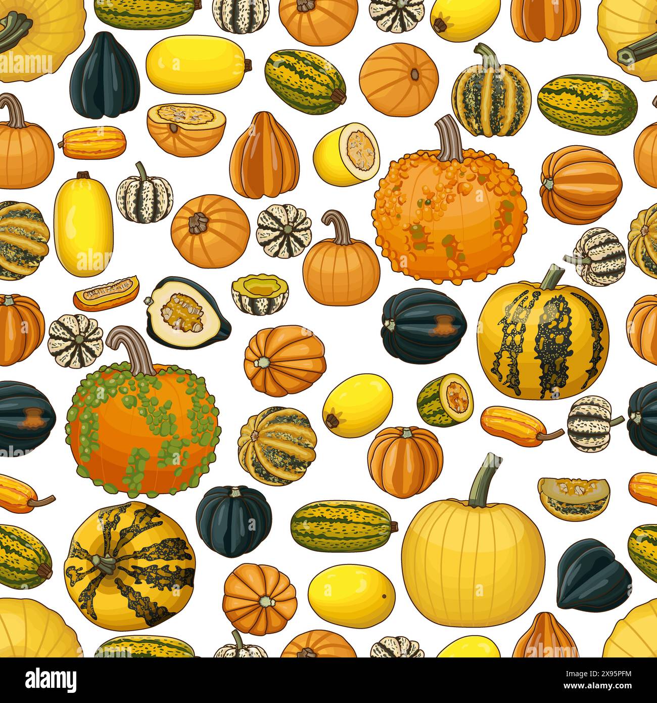 Seamless pattern with types of winter squash. Cucurbita pepo ...