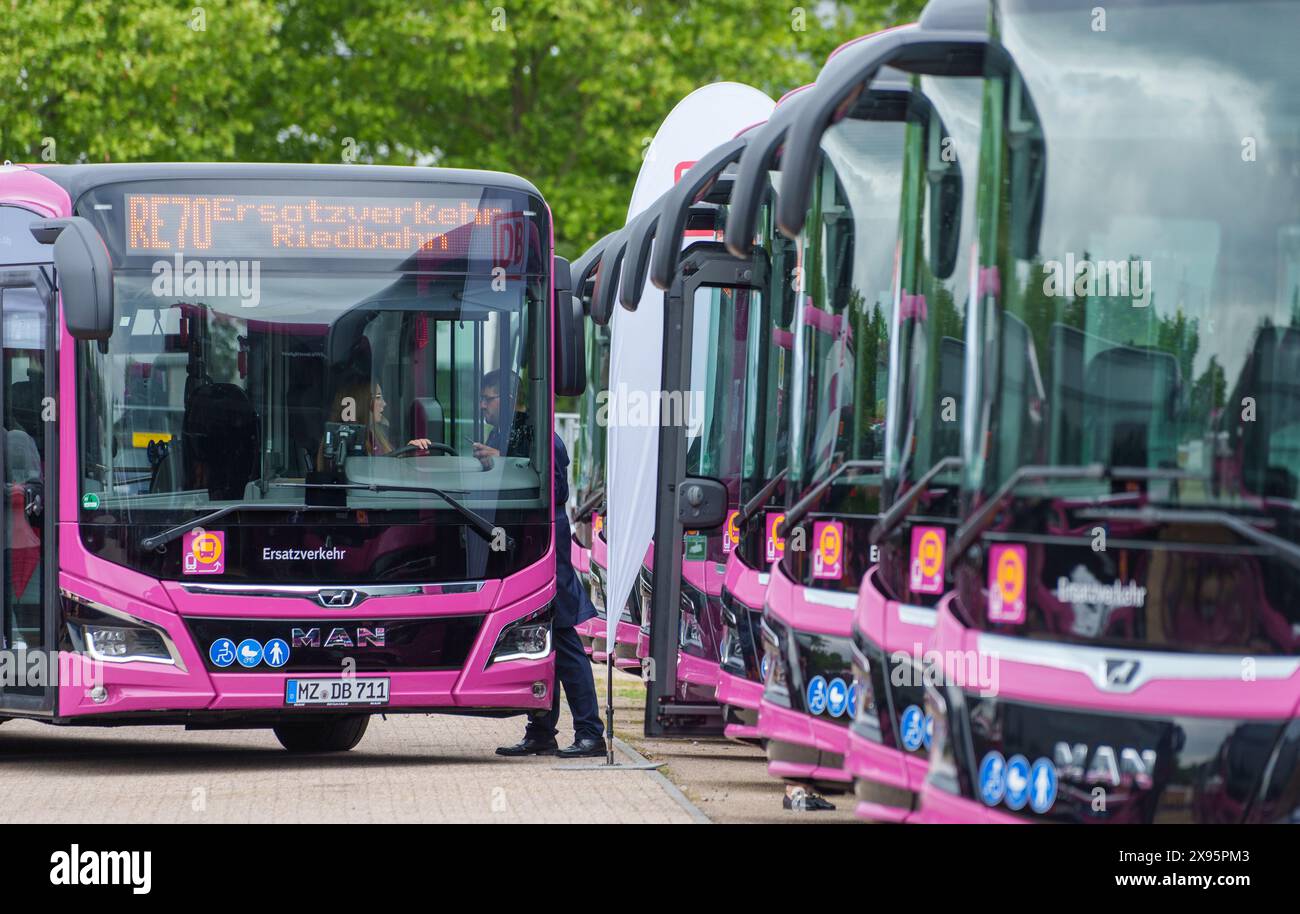 Darmstadt, Germany. 29th May, 2024. The bus fleet was lined up for the ...