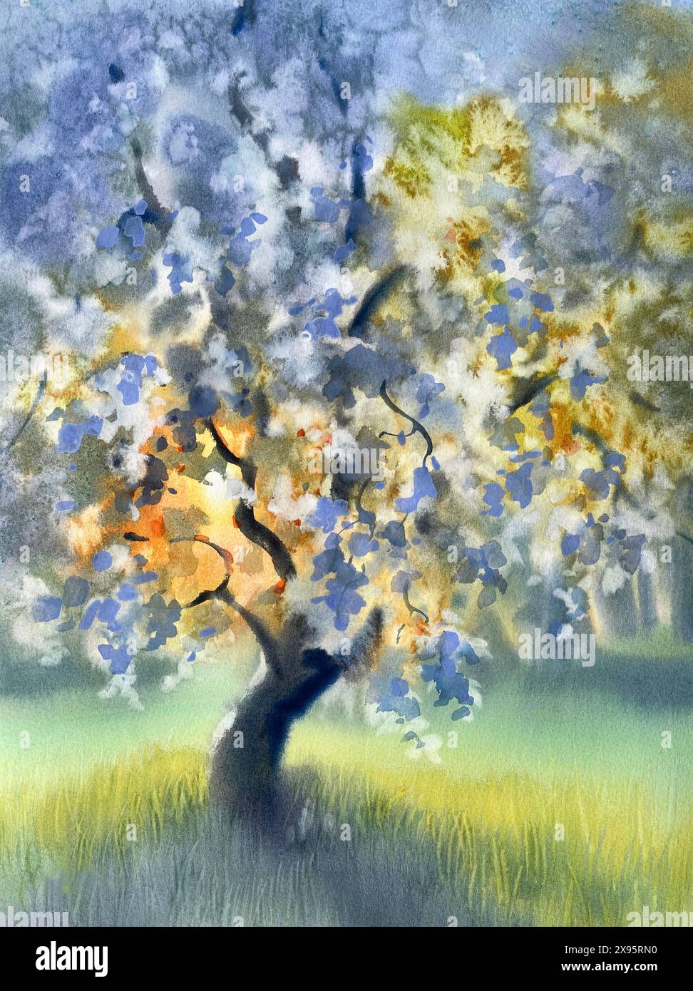 Apple tree flowering in the garden watercolor background Stock Photo ...