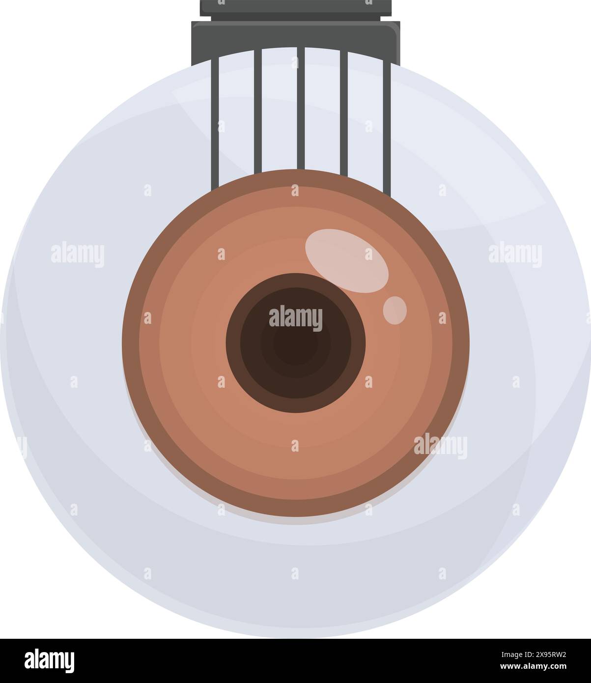 Detailed vector illustration of the human eyeball anatomy with iris ...