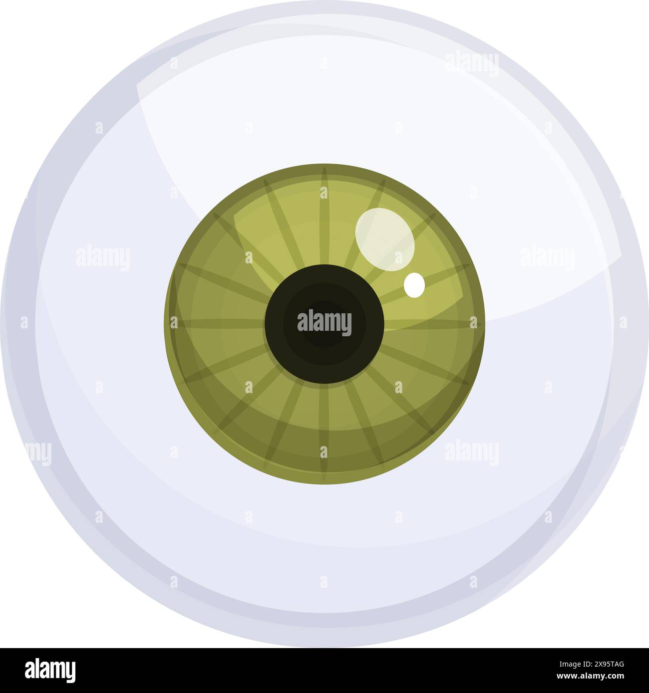 Highquality graphic representation of a human eye, in a stylized vector ...