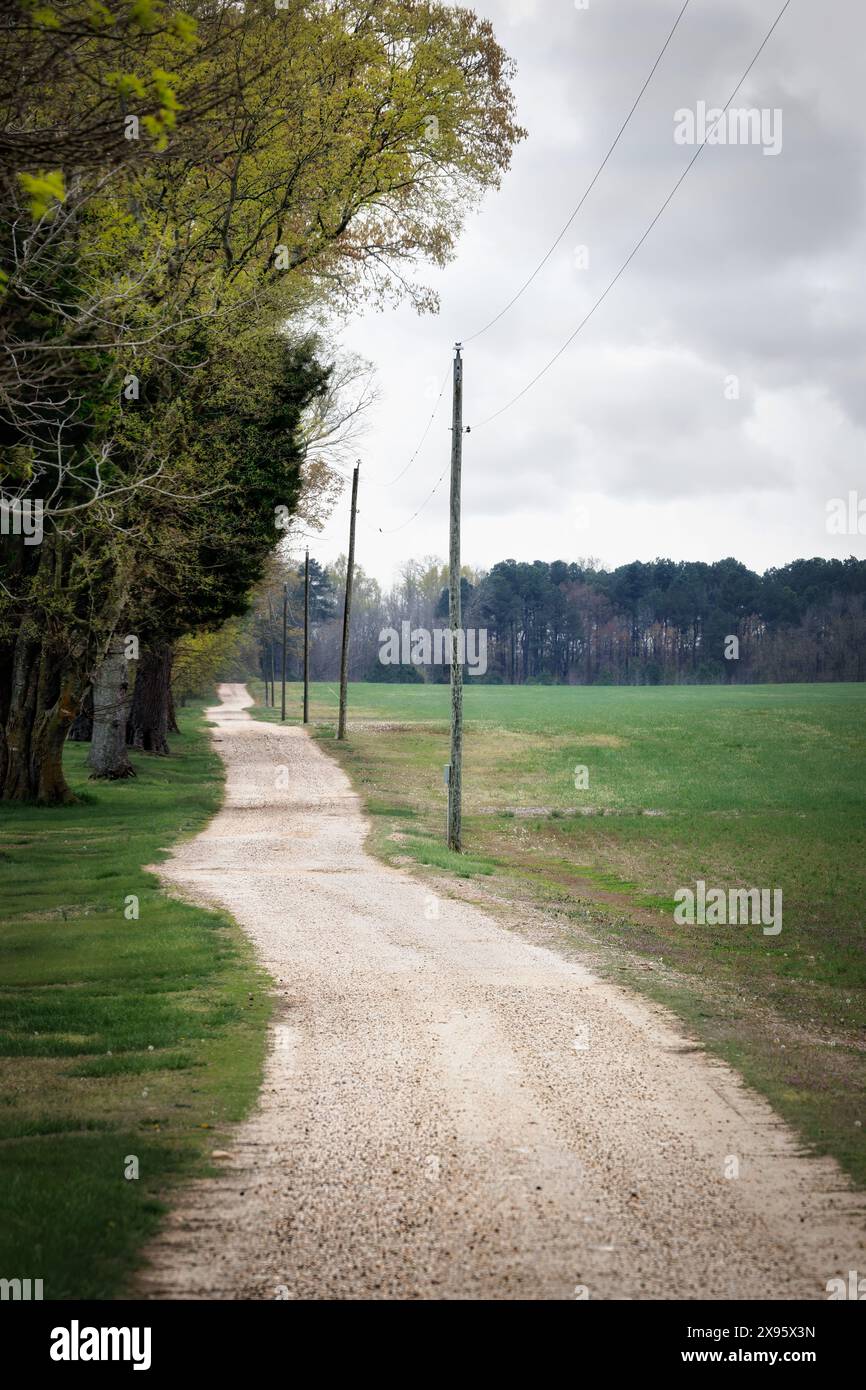 A tree lined dirt road leads to a forest in Charles County, Virginia ...