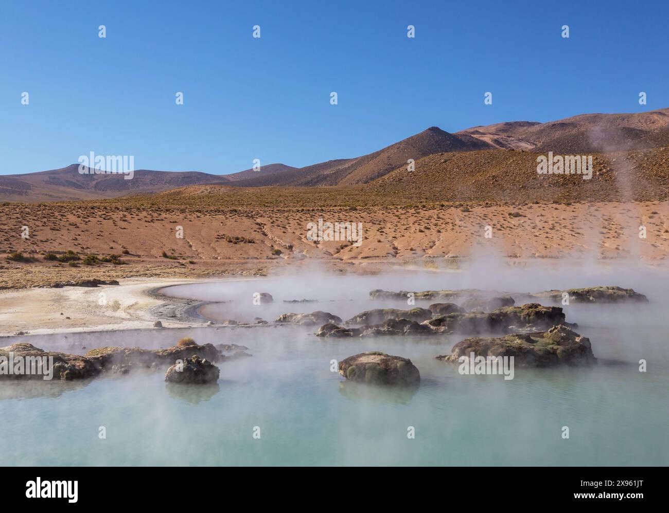 Natural Hot Spring in Atacama desert, Chile, South America Stock Photo ...