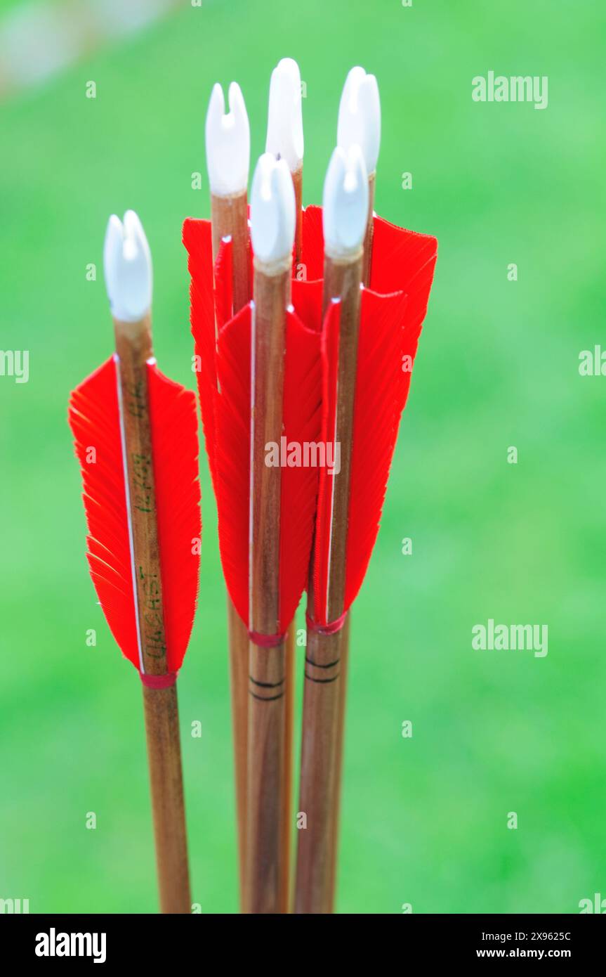 Archers Arrows with there Fletchings Stock Photo - Alamy