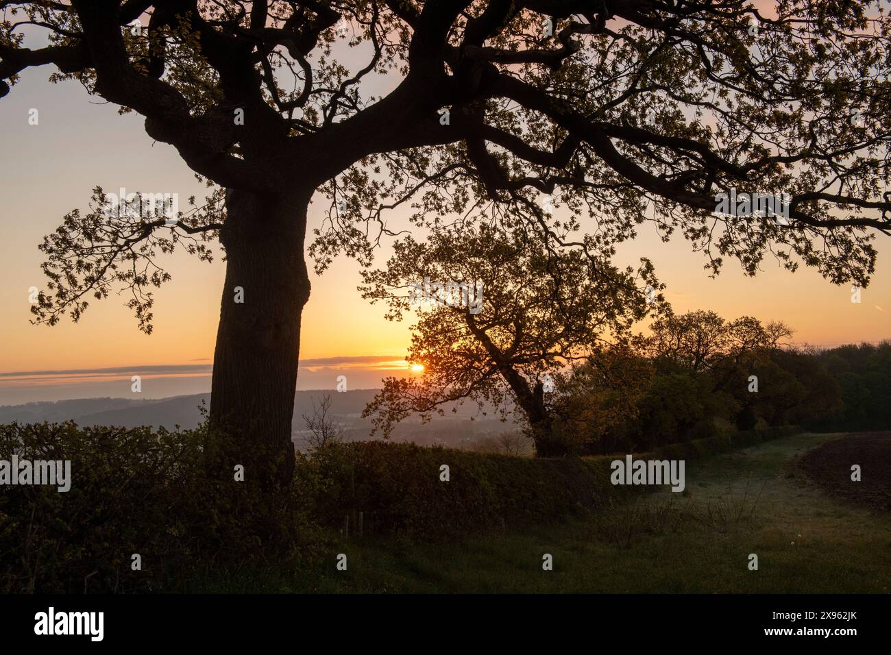 Spindle walk hi-res stock photography and images - Alamy