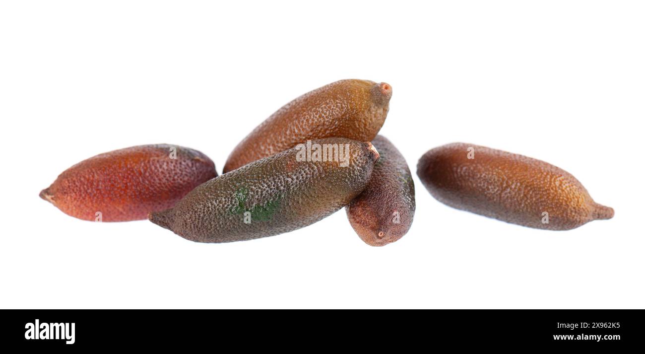 Fresh finger limes isolated on white background. Caviar lime. Fruits ...