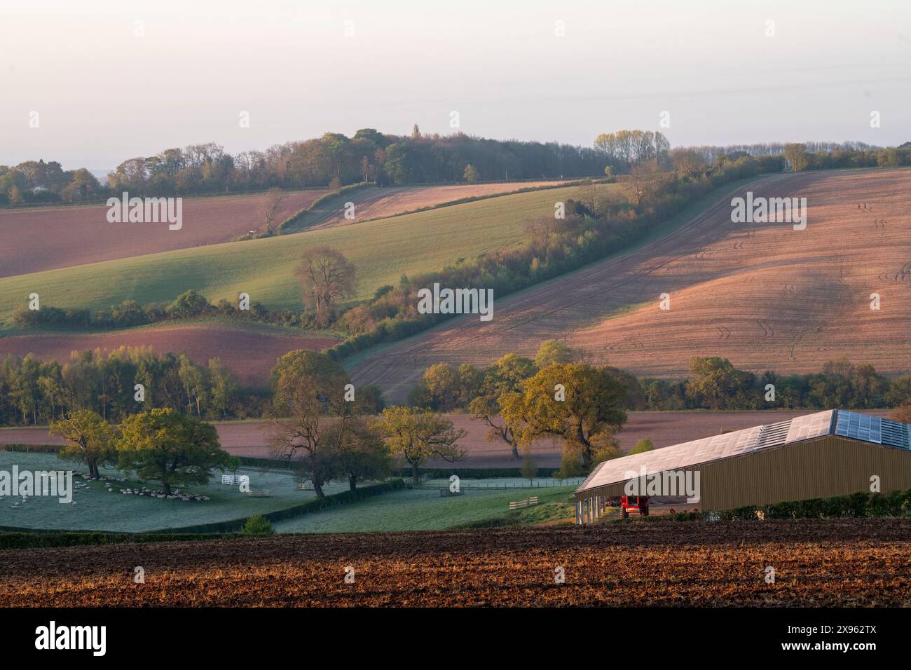 Early morning light at Dorket Head, Nottinghamshire England UK Stock ...