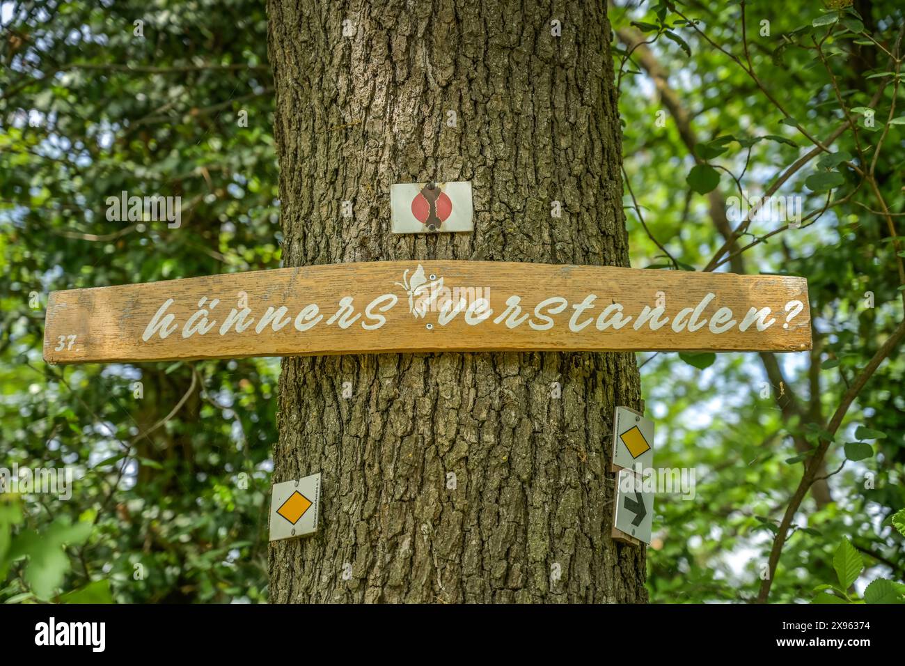 Deutsch verstehen hi-res stock photography and images - Alamy