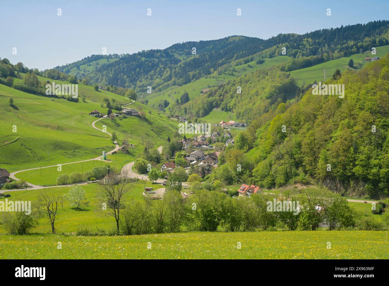 Wiesen, Bauernhöfe, Oberes Münstertal, Schwarzwald, Baden-Württemberg ...