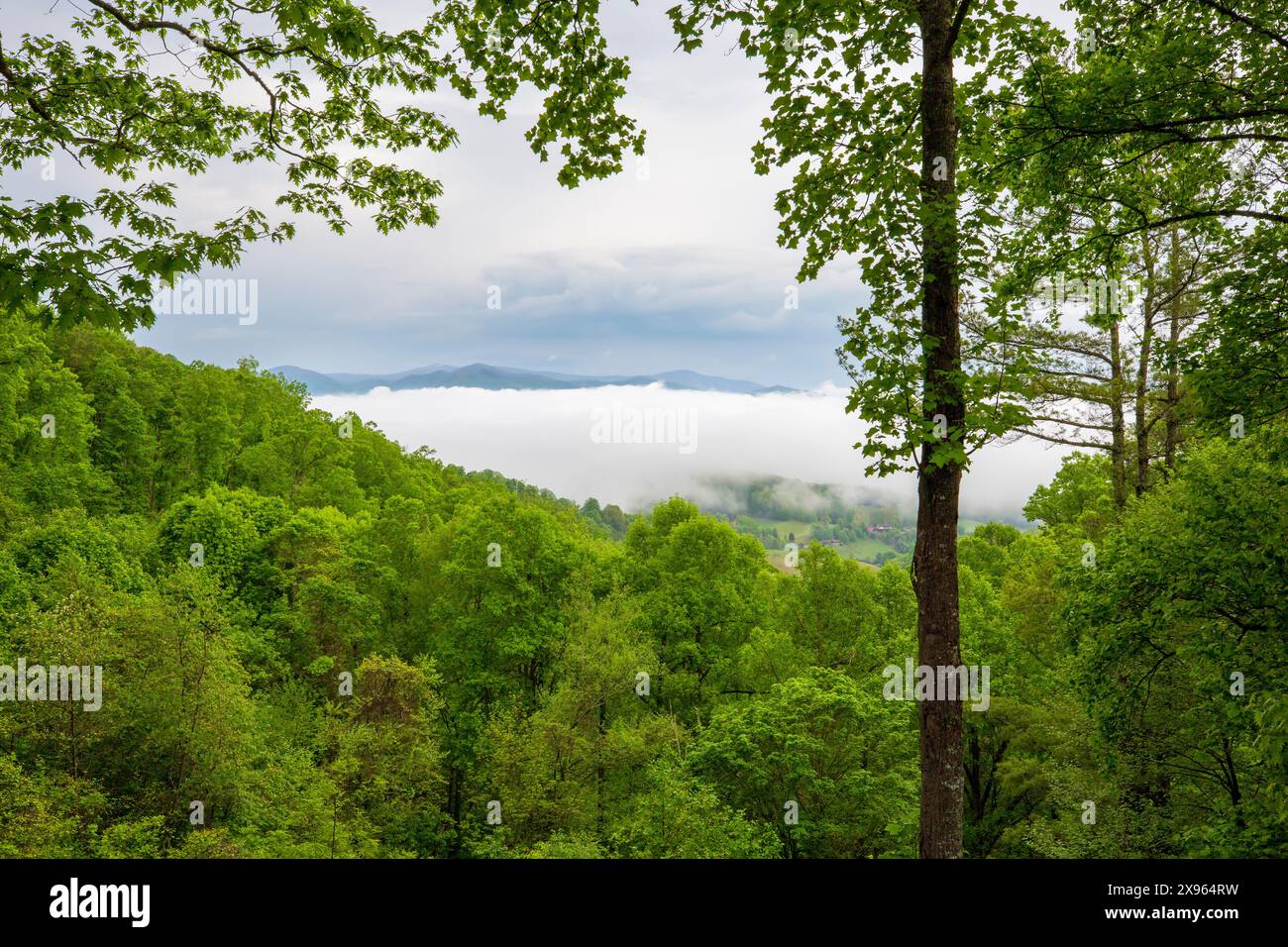 Stunning view of the Appalachian Mountains from Slickrock Mountain. A ...