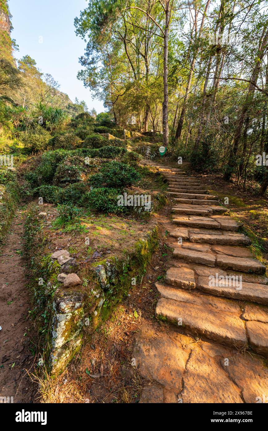 Steps on path, Wuyi Mountains, UNESCO World Heritage Site, Fujian ...