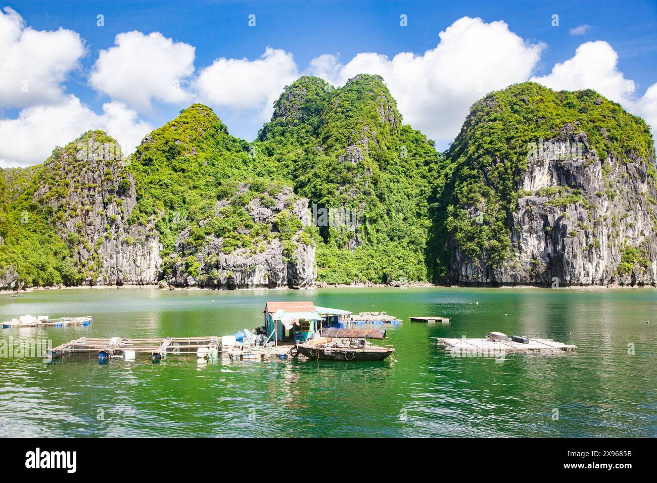 Ha Long Bay, UNESCO World Heritage Site, Vietnam, Indochina, Southeast ...
