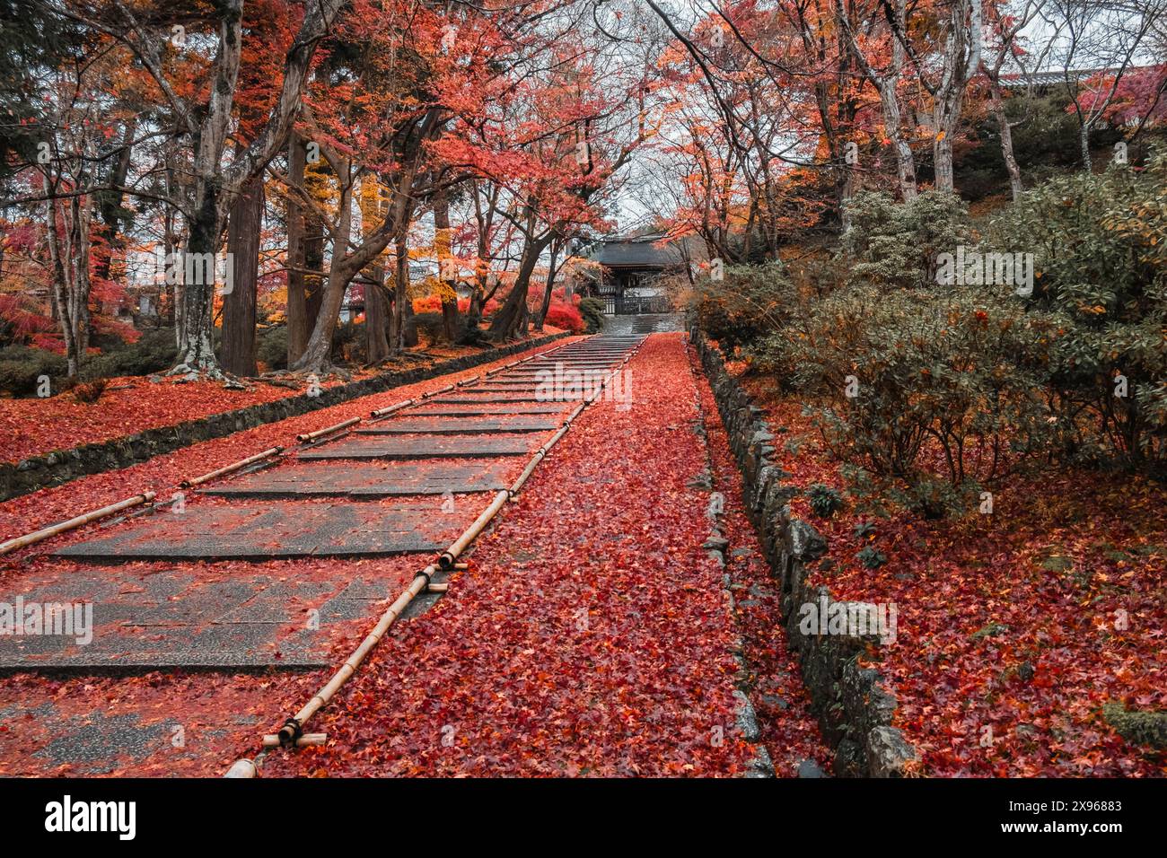 Autumn colors at Bishamon-do Buddhist temple in Kyoto, Honshu, Japan ...