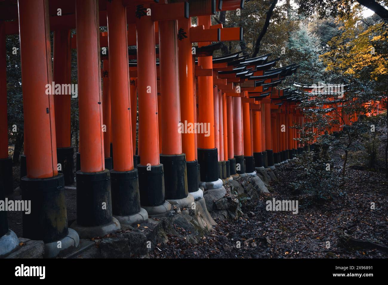 The red Torii Gates at Fushimi Inari Taisha shrine in Kyoto, Honshu ...